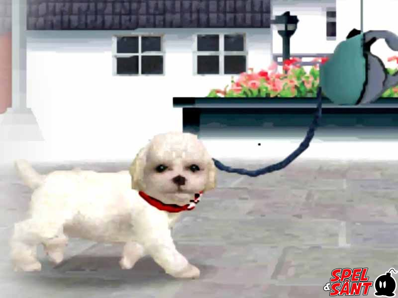 Nintendogs Labrador and Friends - Spel & Sånt: The video game store ...