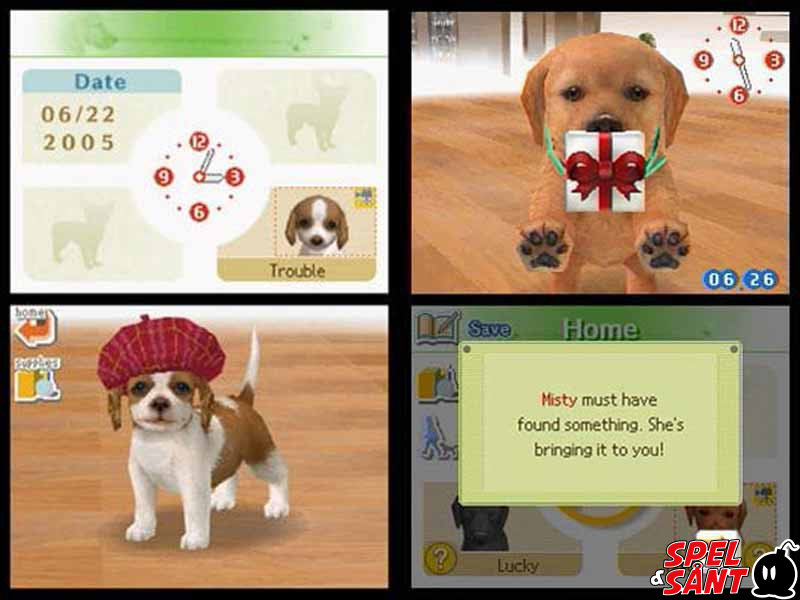 Nintendogs Labrador and Friends - Spel & Sånt: The video game store ...