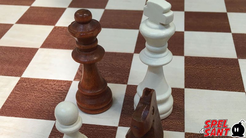 Schack av Trä (Nordisk Version) - Spel & Sånt: The video game store ...