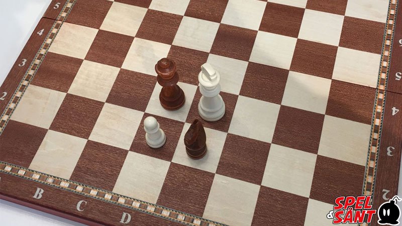 Schack av Trä (Nordisk Version) - Spel & Sånt: The video game store ...