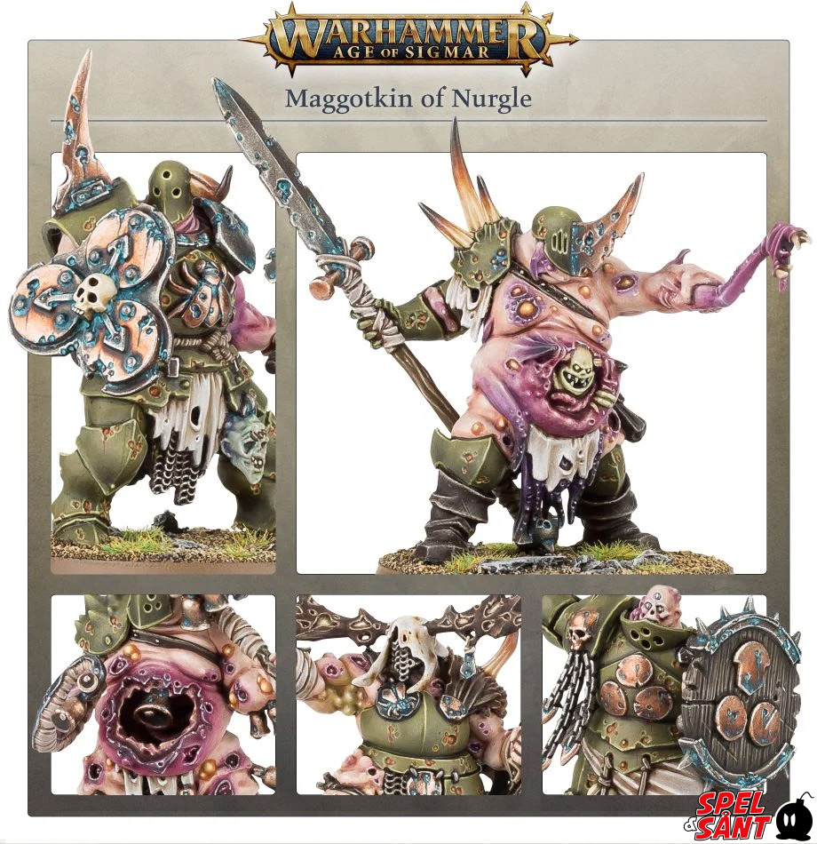Warhammer Age of Sigmar Vanguard Maggotkin of Nurgle - Spel & Sånt: The ...