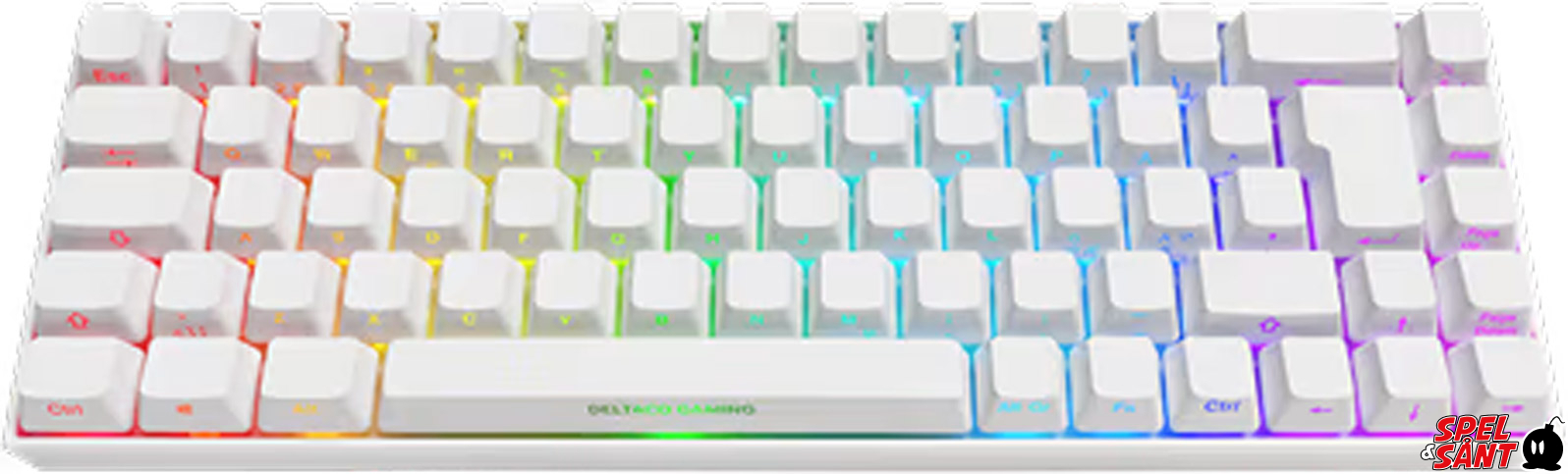 Deltaco Gaming WK95R 65% Mechanical RGB Wireless Gaming Keyboard Vit ...