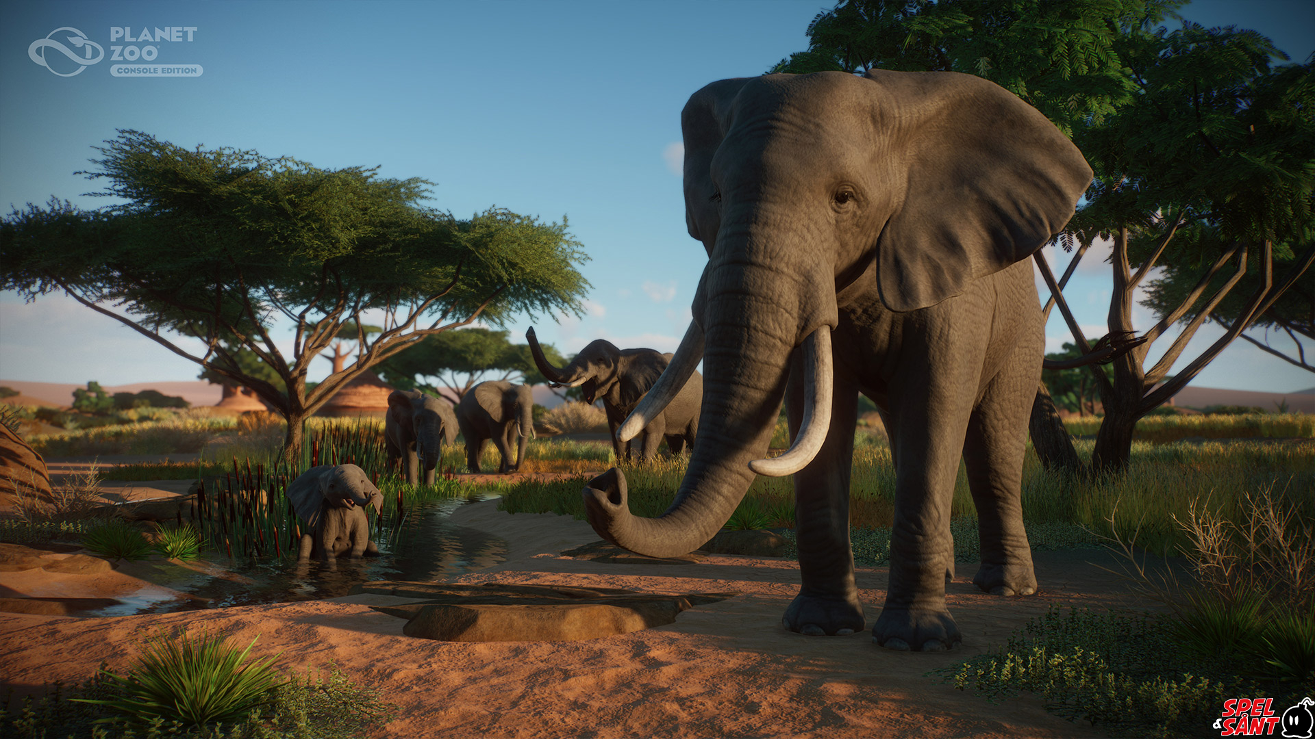 Planet Zoo Console Edition - Spel & Sånt: The video game store with the ...